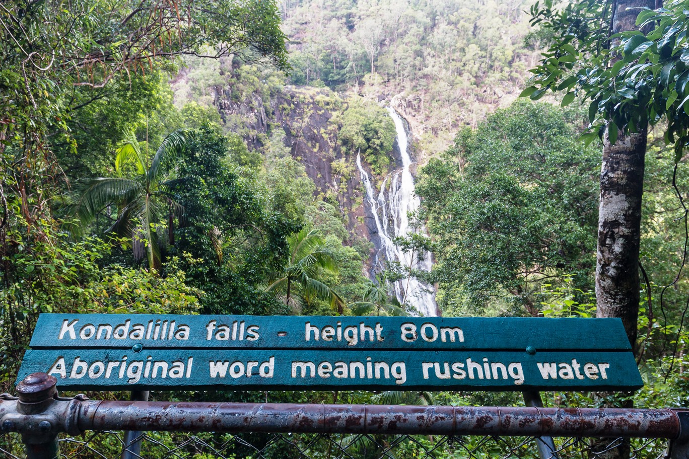 National Park Odyssey: Kondalilla Falls, Kondalilla National Park, QLD.