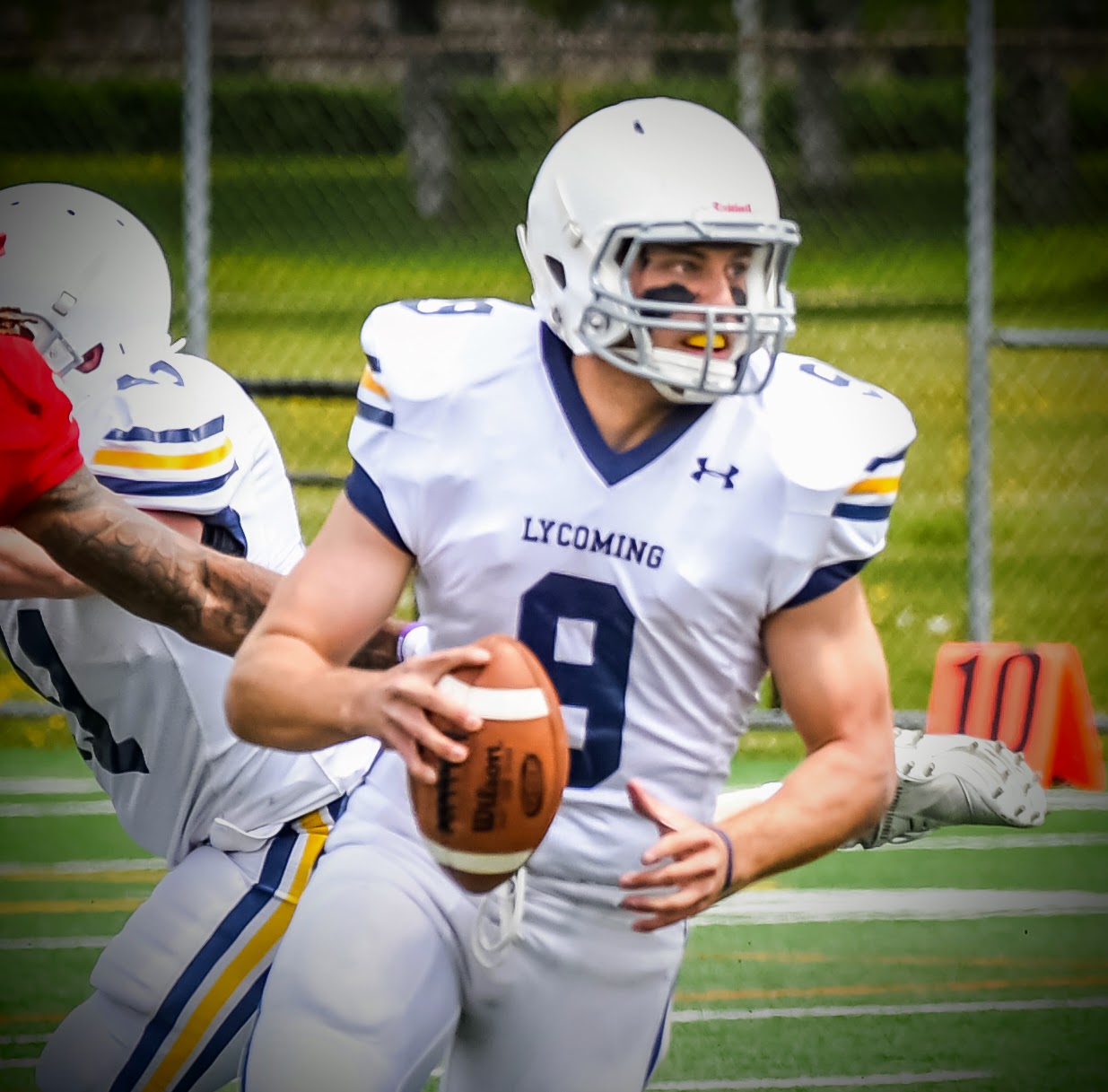 Lycoming Football: Lycoming's Sr QB Chase Williams Dives To Pay Dirt In ...
