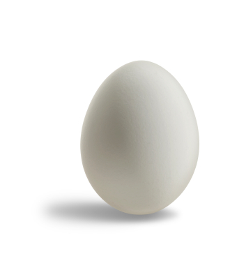 Pow!Science!: An Egg-Cellent Eggs-periment from Pow!Science!