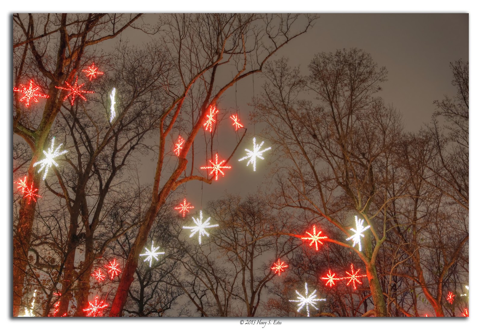 Henry S. Estes Photography: Stars in the Trees