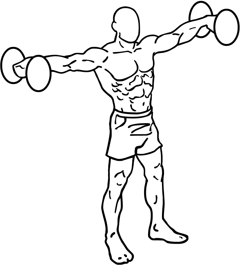 Exercises and Workouts - Three Tips To Improve Your Lateral Raises ...