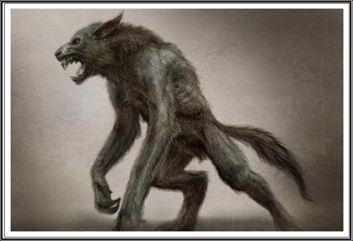 Historias y leyendas: La leyenda del Lobisón