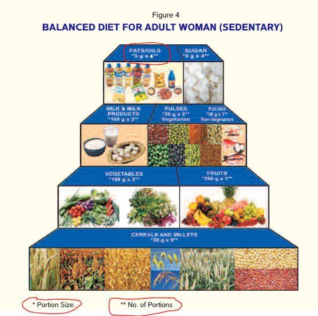 Spicetruck Indian Cuisine: Dietary Guidelines for Indians