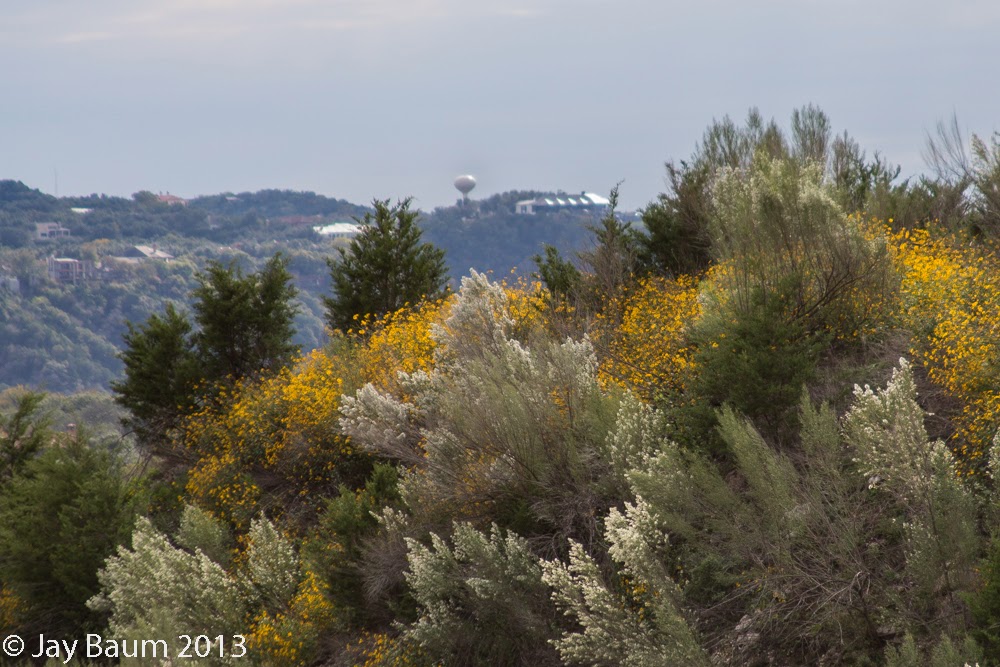 366 Project. Jay Baum. Photography.