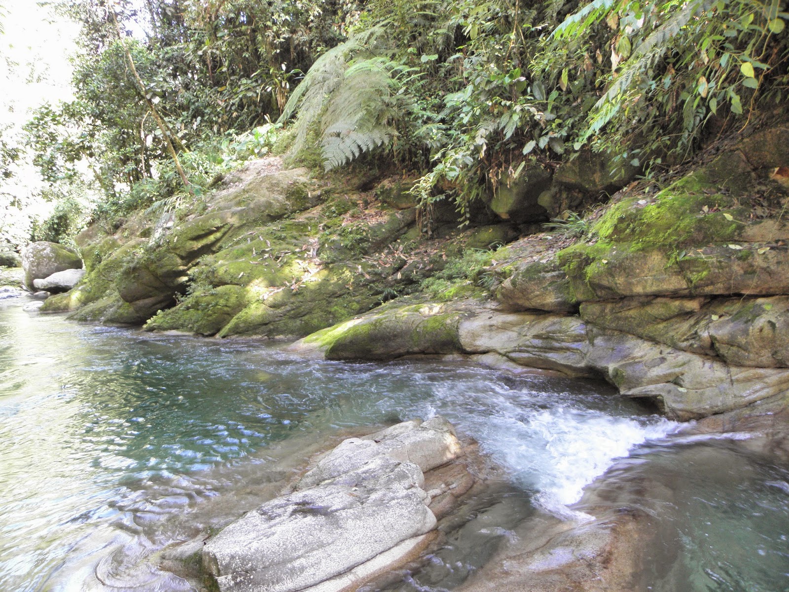 Ecuador Joannan silmin - Ecuador in my eyes: The Perfect Jungle Spot ...