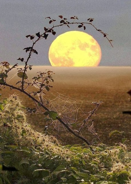 Spiderweb Moon, Fawler, England | Fantastic Picz
