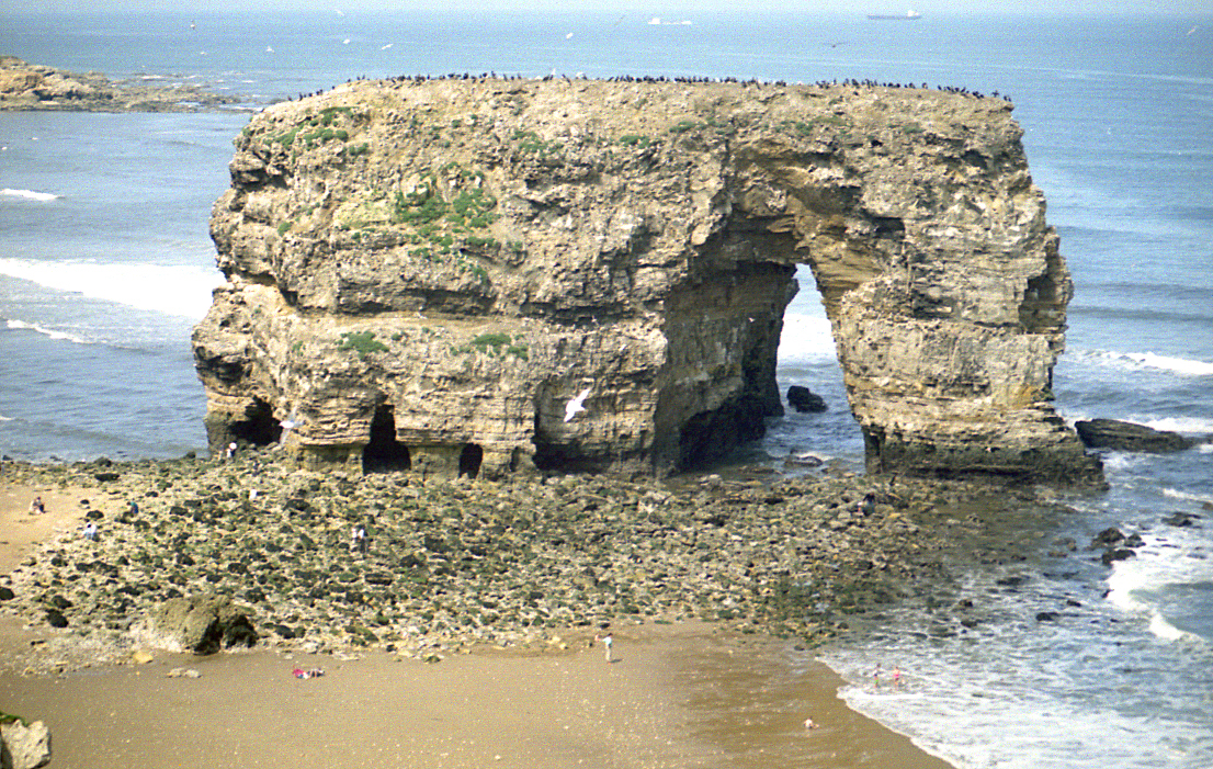 Family History Fun: A-Z Challenge - T is for Tyneside