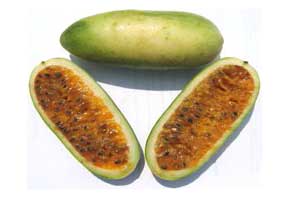 Pachamama Spectrum of Treasures: Exotic Fruits of Ecuador