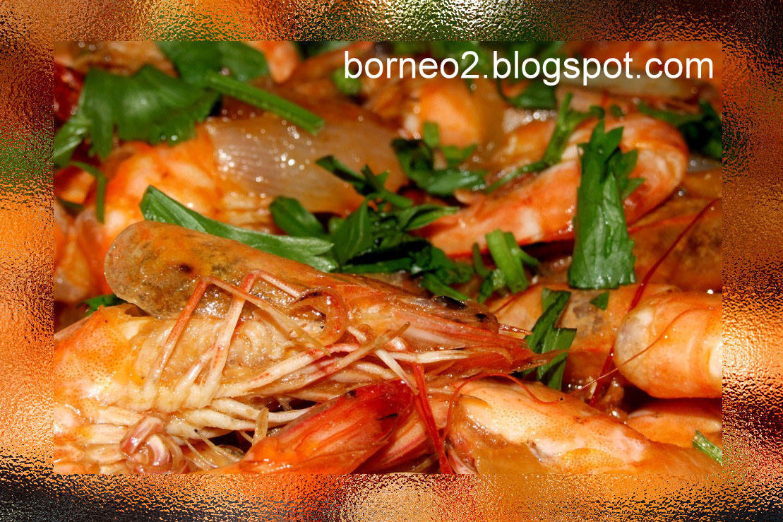 Borneo Island, Awaken To A Different World: Prawn - Indian White Prawn ...