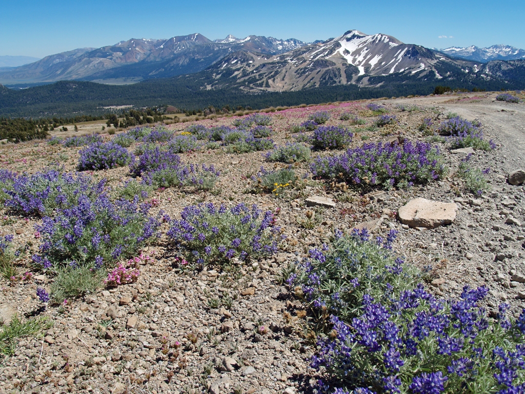Open Air and Sunshine: Minaret Vista - Hiking Mammoth Lakes, CA