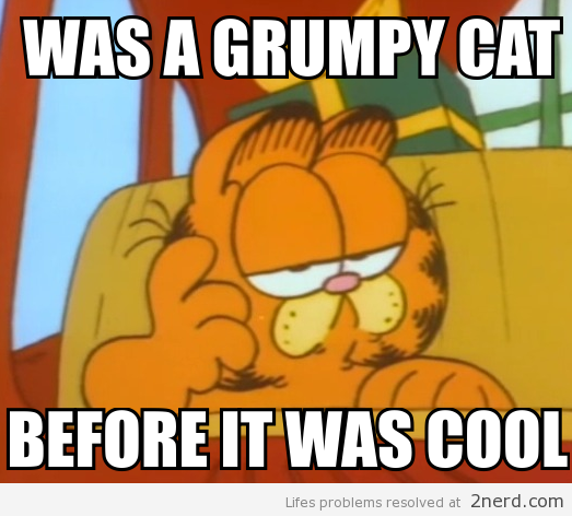 Jeannette's take on life: GARFIELD WAS A GRUMPY CAT BEFORE IT WAS COOL