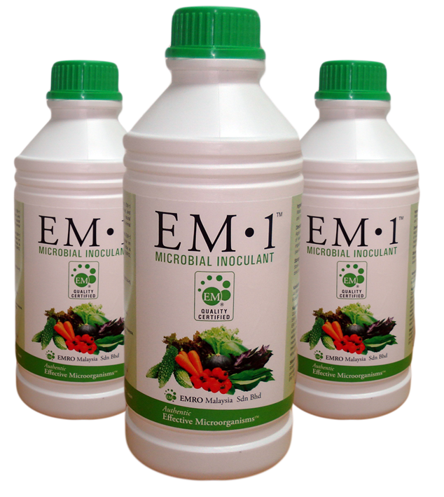 Effective Microorganism (EM)