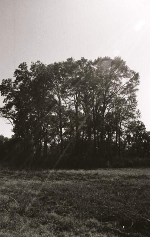 nattieconcepts: Ay Carumba! Viva Italia! - in Colombia, Cuba, and ...