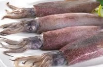 Receta de calamares con salsa Albufereta