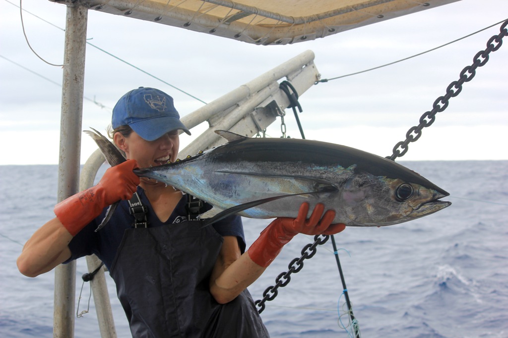 Canned Tuna Suppliers Philippines Product for Healthy Catering - Frozen ...