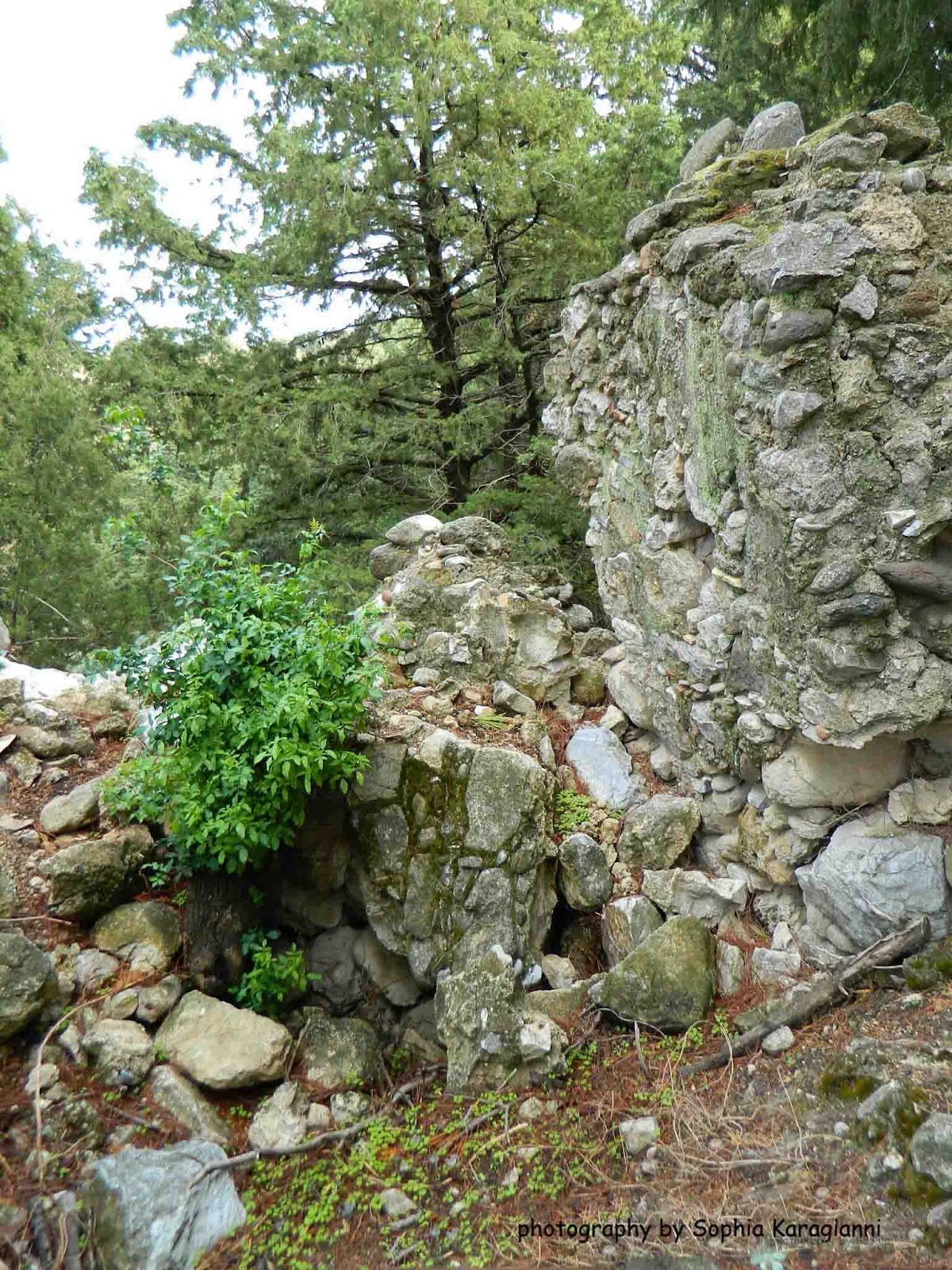 Kos and the Dodecanese through my eyes-Η Κως και τα γύρω νησιά μέσα από ...