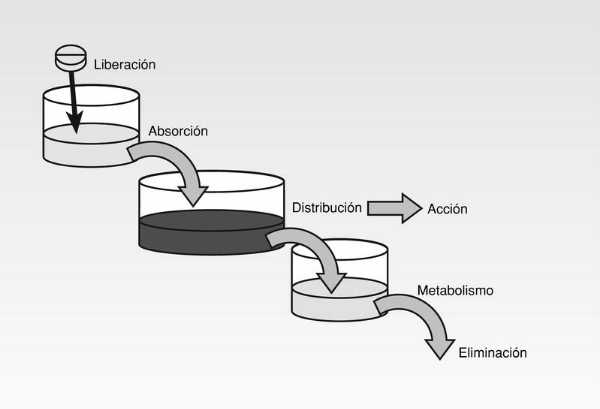 FARMACOCINETICA LADME PDF