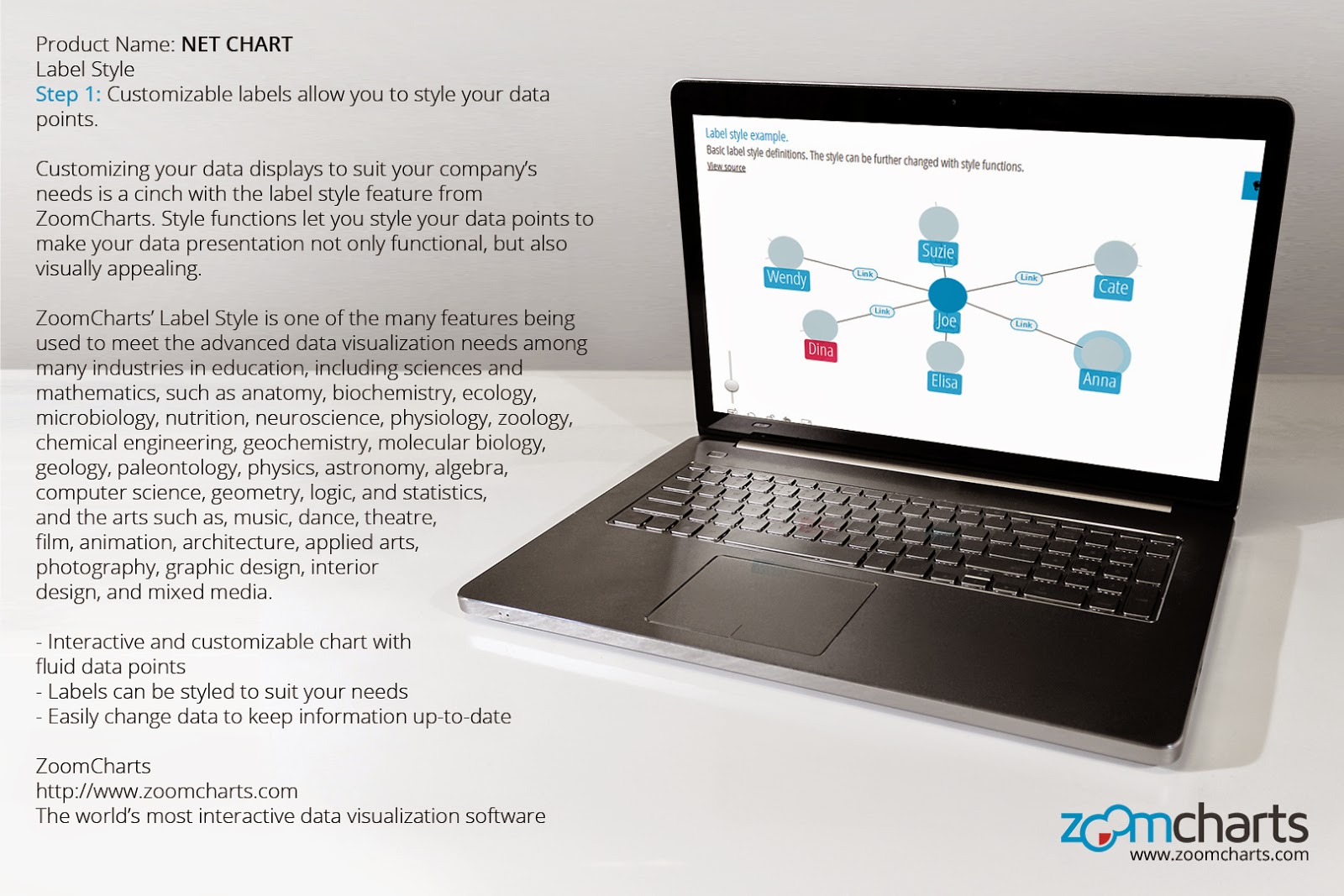 Interactive Network Charts: Net Chart Label Style for PC