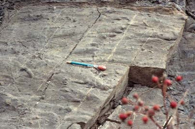 Suara Geologi: Struktur Batuan Sedimen