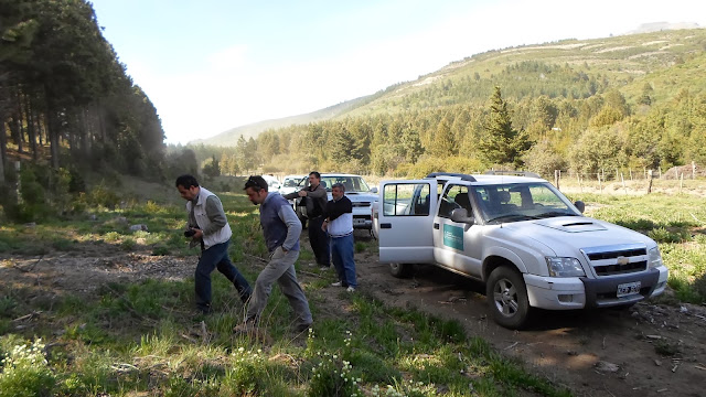 Patagonia Andina Forestal: Relevamiento y caracterización de la cadena ...