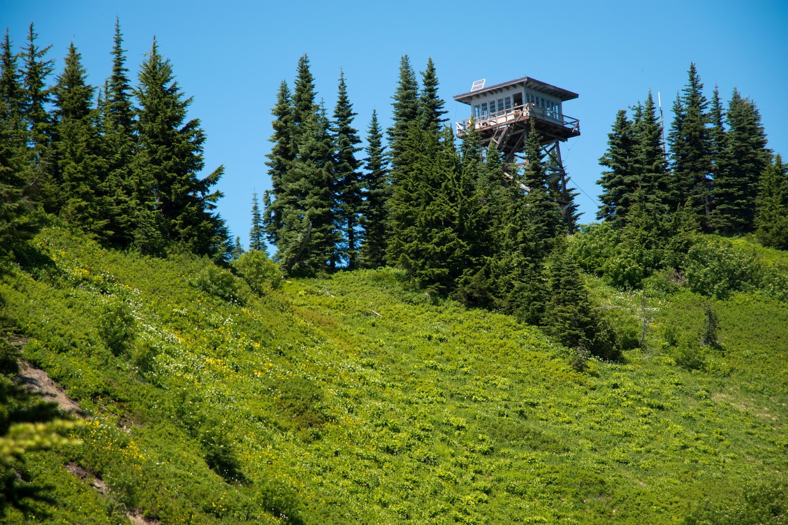 Hiking Shenandoah: Lookout Mountain (Cascade River)
