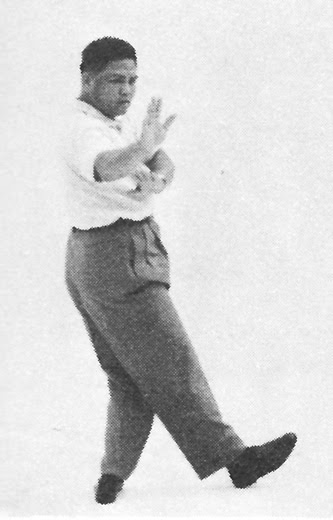 Tai Chi Chuan (Square Form) 110. Turn Body And Double Hand Sweep Lotus ...