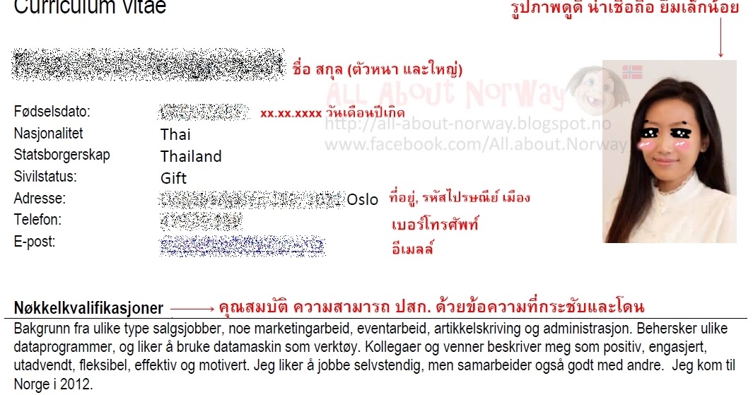 All about Norway.: ตัวอย่างซีวี (Cv) ที่เป็นมาตรฐานและเป็นที่ยอมรับของ ...