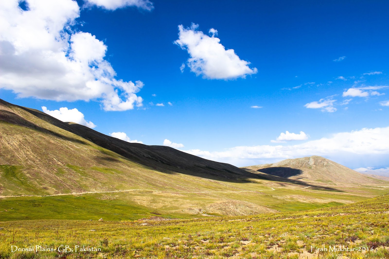 Projections: Deosai, The Land of Giants, Gilgit-Baltistan, Pakistan