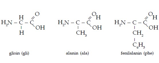 Pengertian Protein dan Struktur Asam Amino Penyusunnya - Rumus Kimia