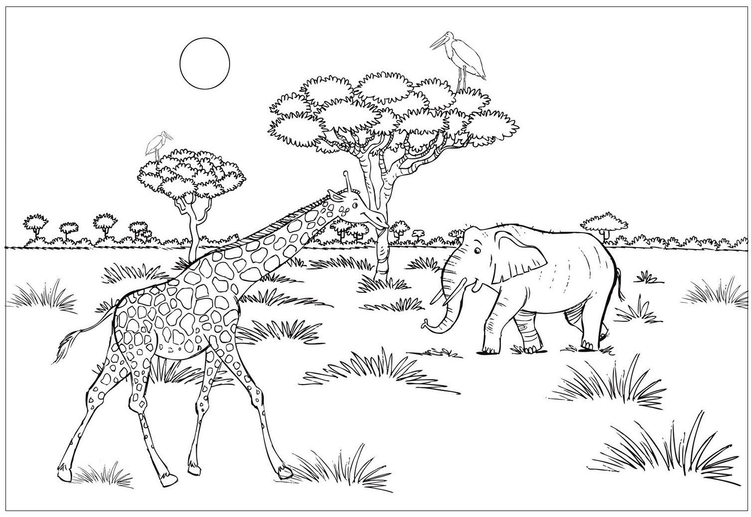 Savana Africana Paisagem Colorir Tudodesenhos Montanha Sketch Coloring Page