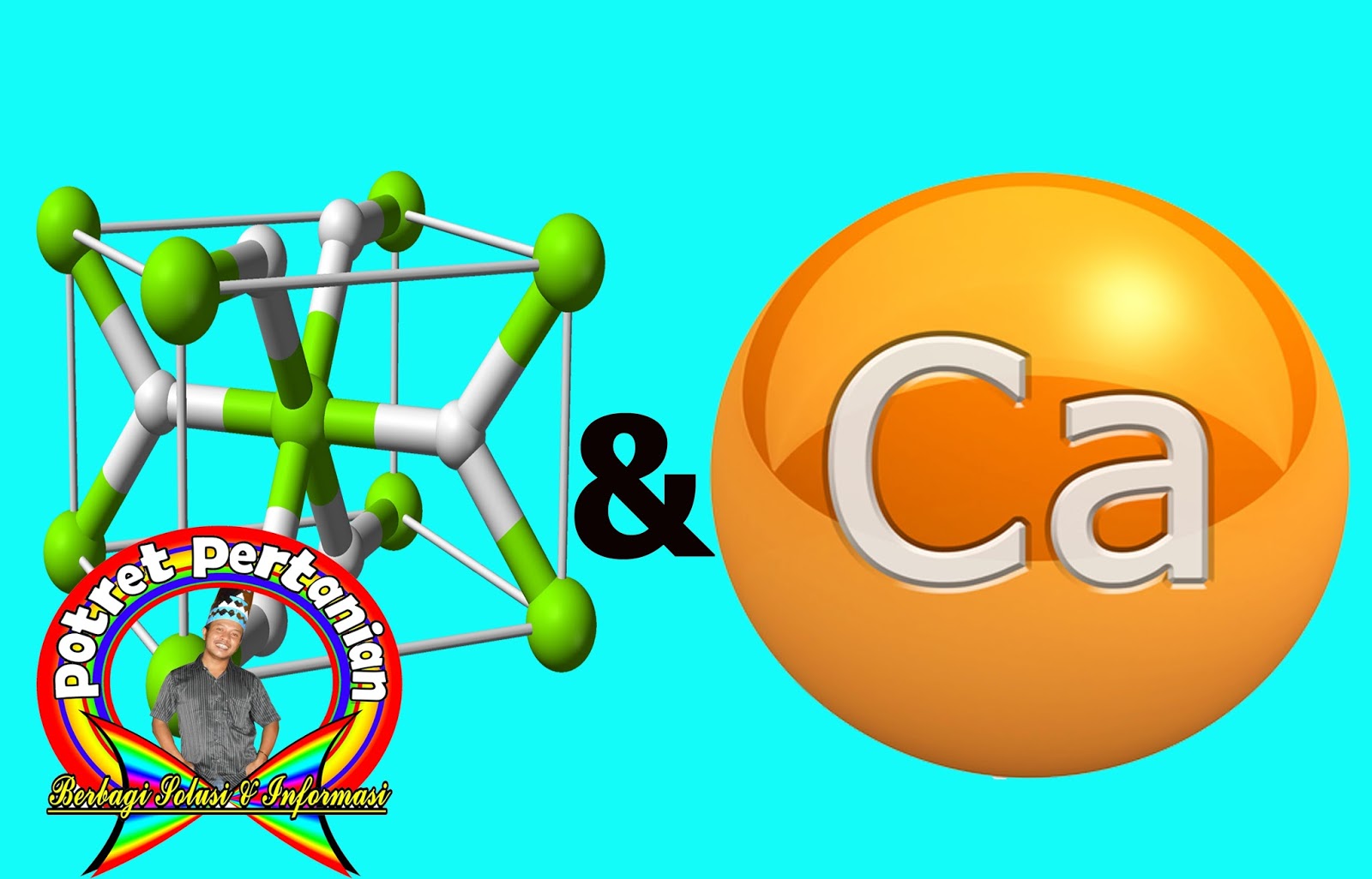 Kelebihan dan Kekurangan Unsur Hara Calcium (Ca) dan Magnesium (Mg ...