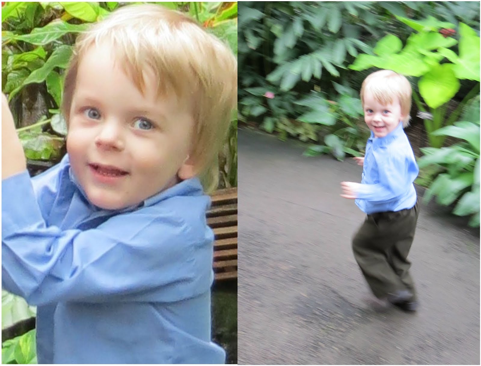 123 lavender lollipop lane