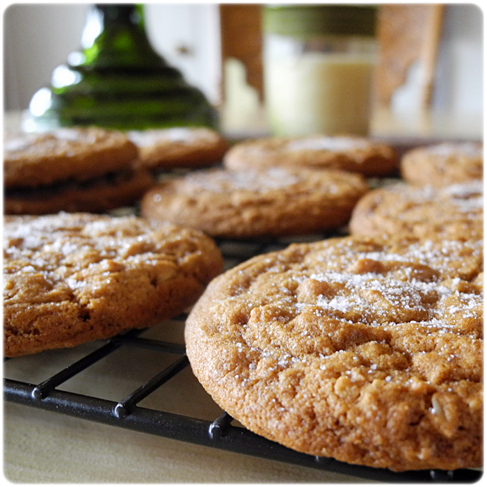 A Haven for Vee: Hi Again