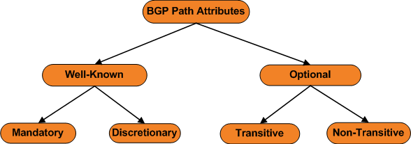 Border Gateway Protocol (BGP)