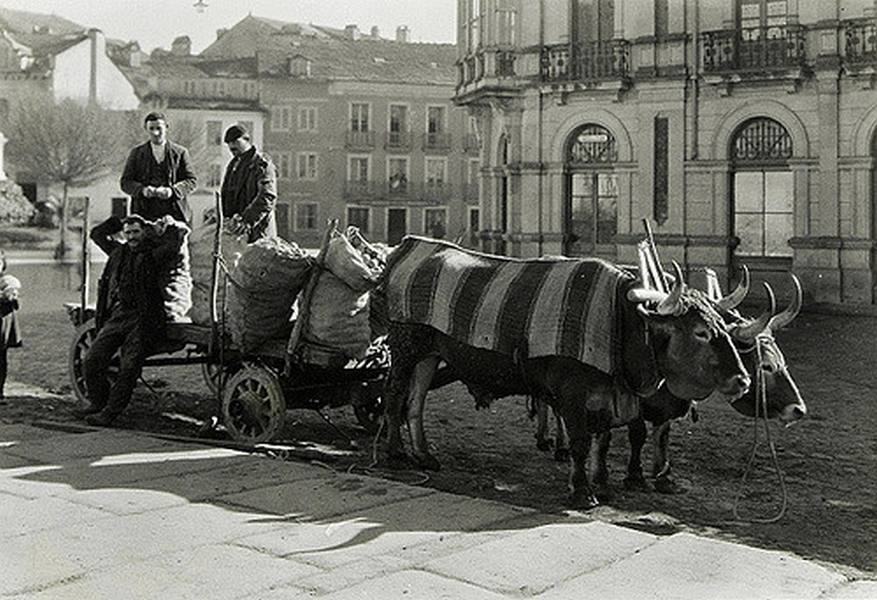 Los Grandes Fotografos: Ruth Matilda Anderson (1893-1983)