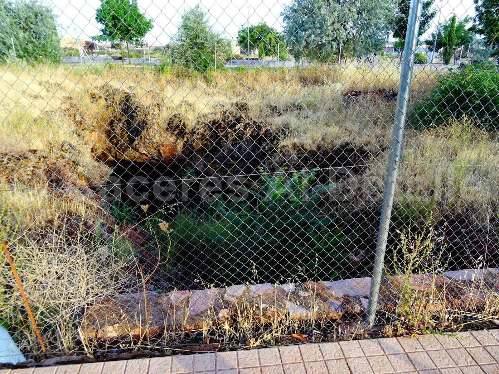 LA CUEVA DEL CONEJAR, AL DETALLE