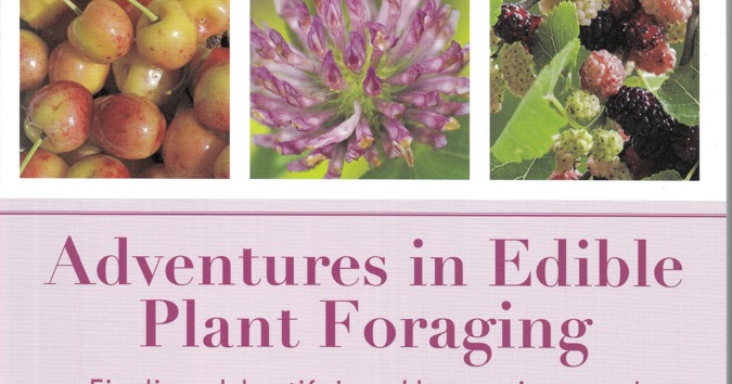 The 3 Foragers: Foraging for Wild, Natural, Organic Food: Adventures in ...
