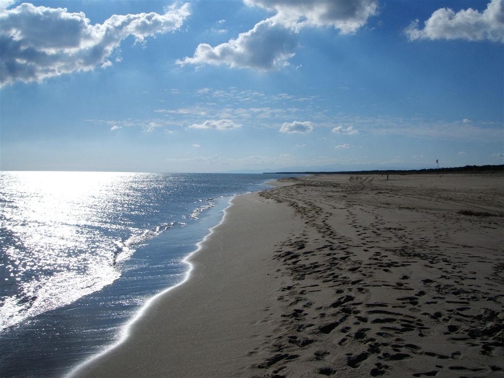 GINOSA: MUSEO E PARCO ARCHEOLOGICO DI SANTA MARIA DATTOLI APERTI AL ...