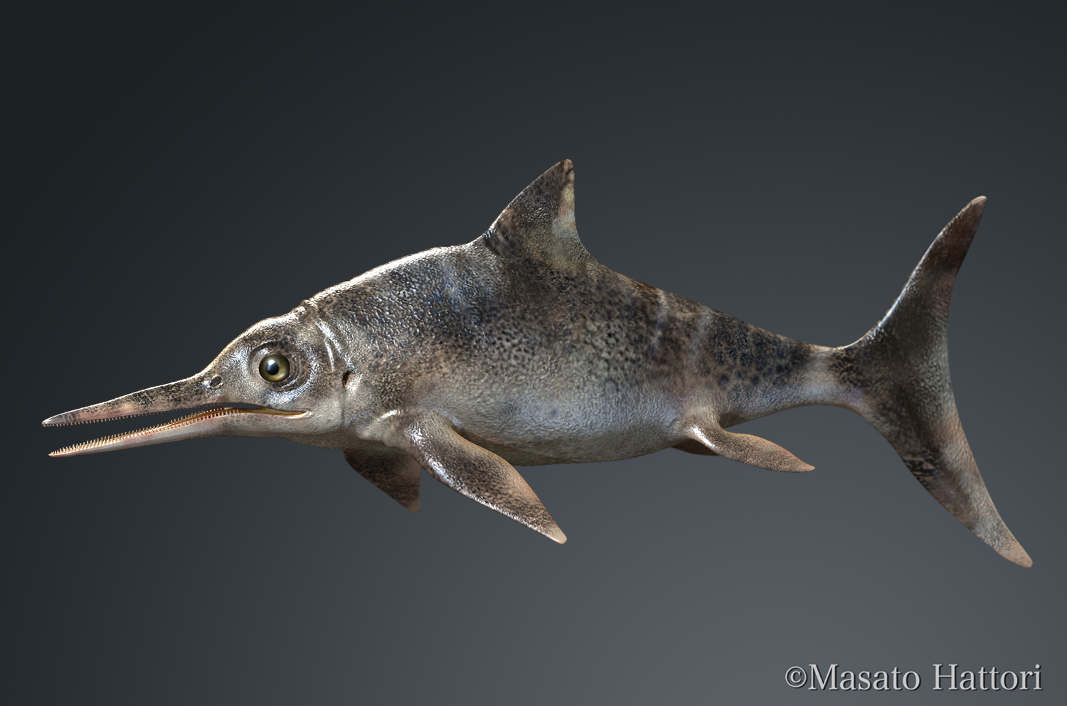 Dinosaur Train Ophthalmosaurus