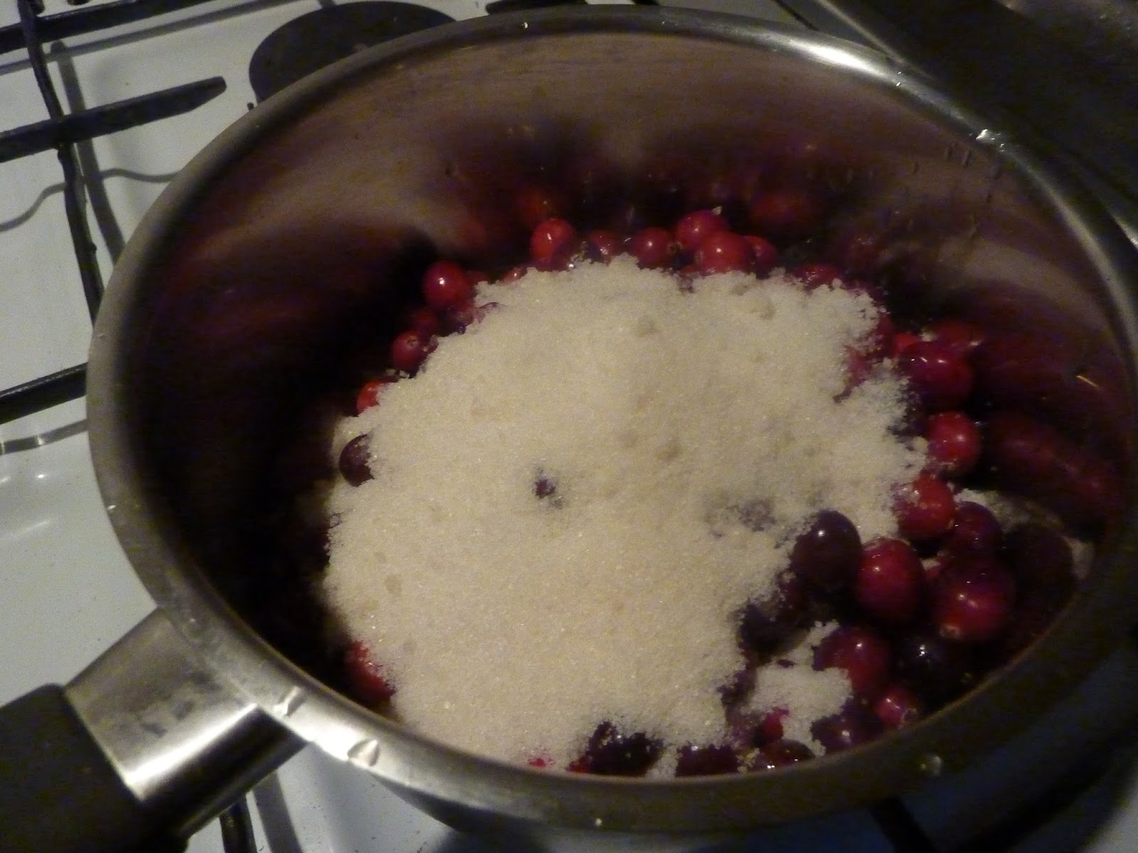 Cranberries statt Preisselbeeren – glatzkoch.de