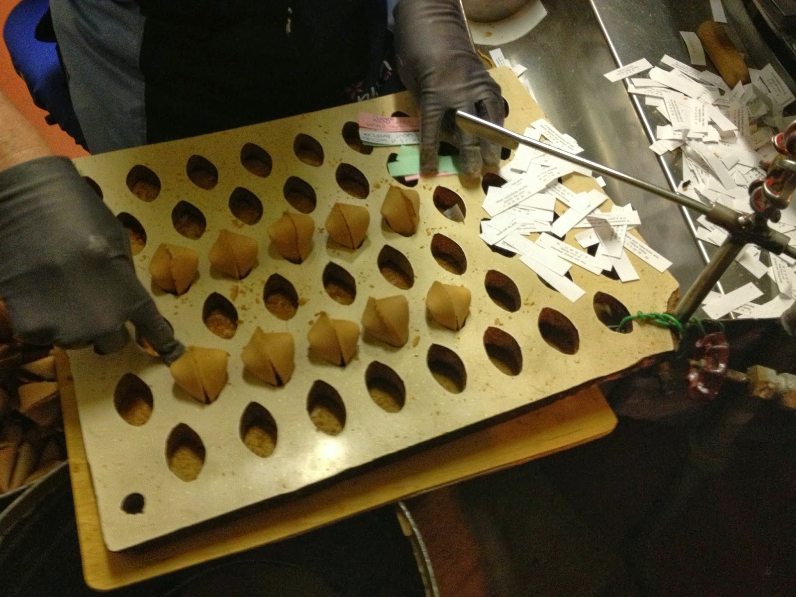 Mystery Playground: The Mystery of Fortune Cookies