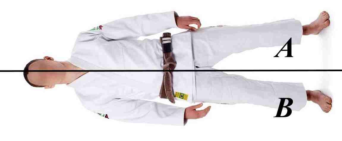 KAME HOUSE: Side Control : avoir une bonne position