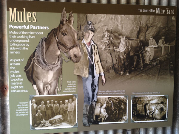 Trails (and Trials): empire mine