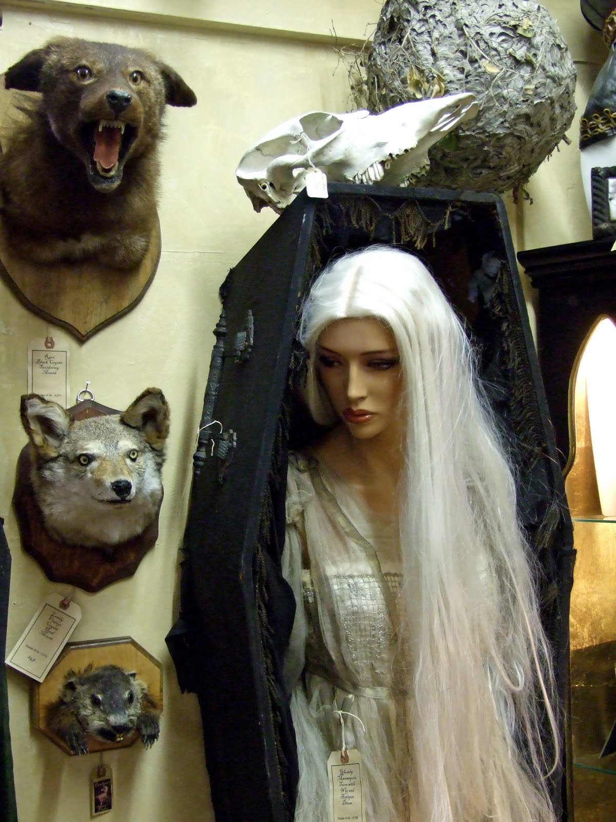 Pandora's Parlor: Haunted Antiques