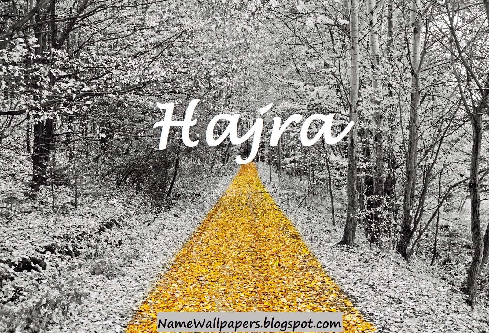 Hajra Name Wallpapers Hajra ~ Name Wallpaper Urdu Name Meaning Name ...