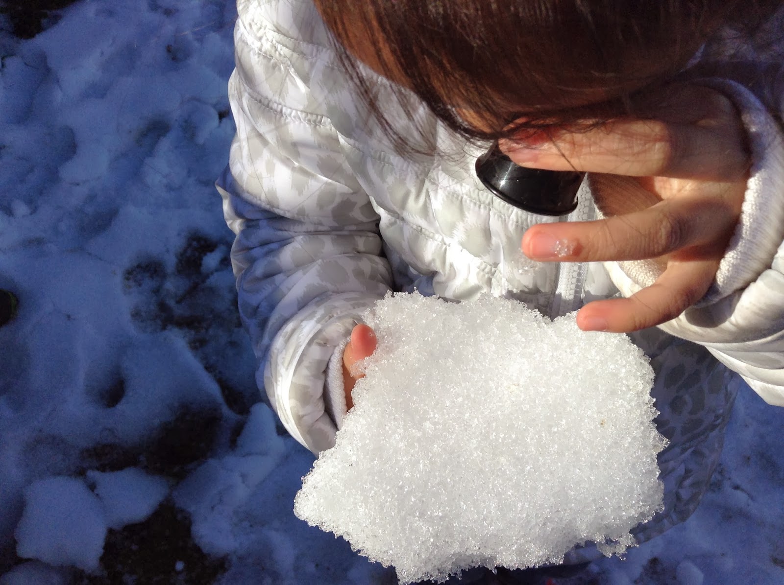 looking closely at snow and ice - Mathematics and Science in SD#38 ...
