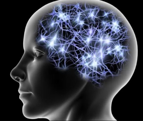 Quantum Research: Unification Thought Institute : Quantum Knowledge ...