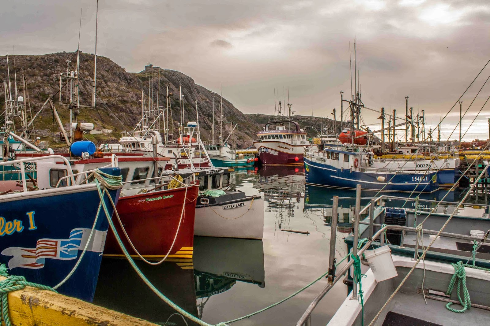 Ladee's Travels: St. John's, Newfoundland - Docks, Boats and Seaside Homes