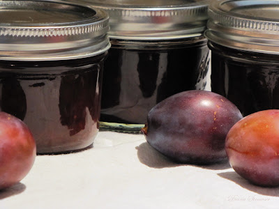 Voice In The Garden: Spicy Plum Sauce