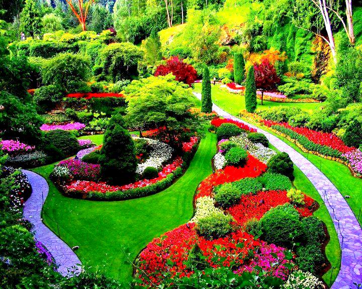 MPV LANDSKAP DAN NURSERI: CANTIKNYA TAMAN BERBUNGA INI...